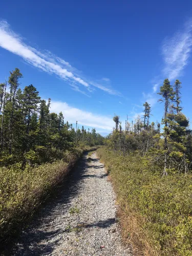 2023 Best 10 Short Trails in Gambo | AllTrails