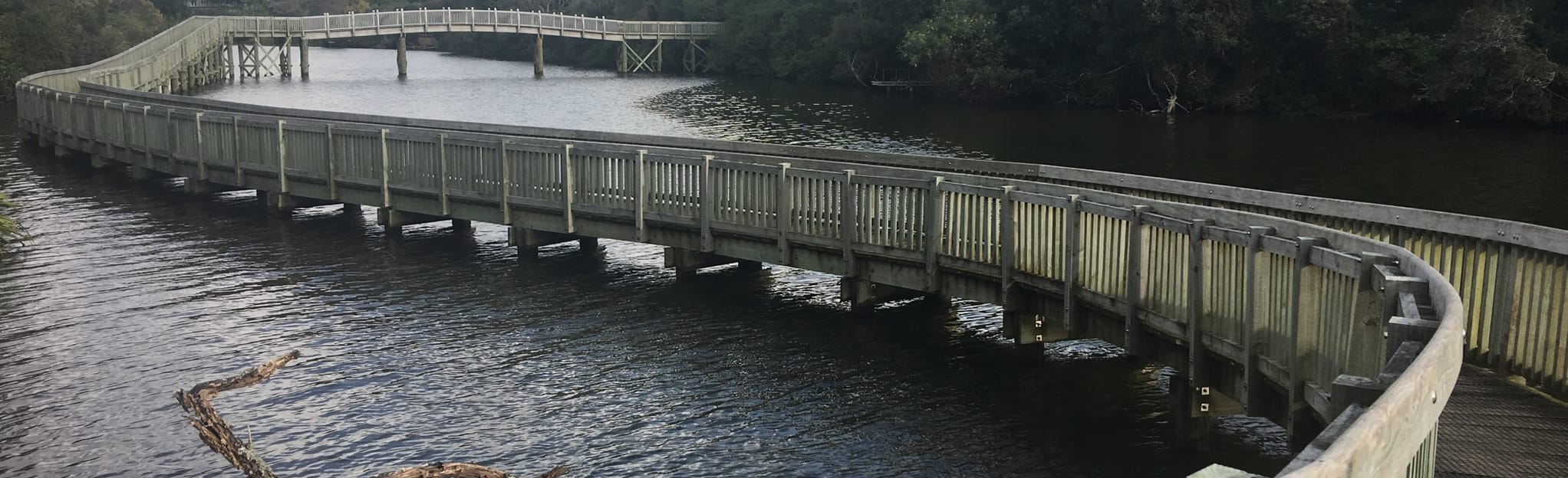 Orakei Basin Walkway: 229 fotos - Auckland, Nova Zelândia | AllTrails