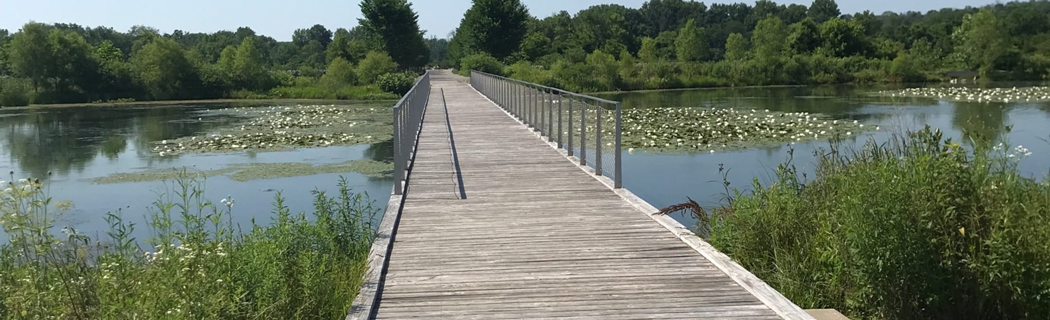 Humana Grande Allee: Black Willow Trail: 620 Reviews, Map - Kentucky ...