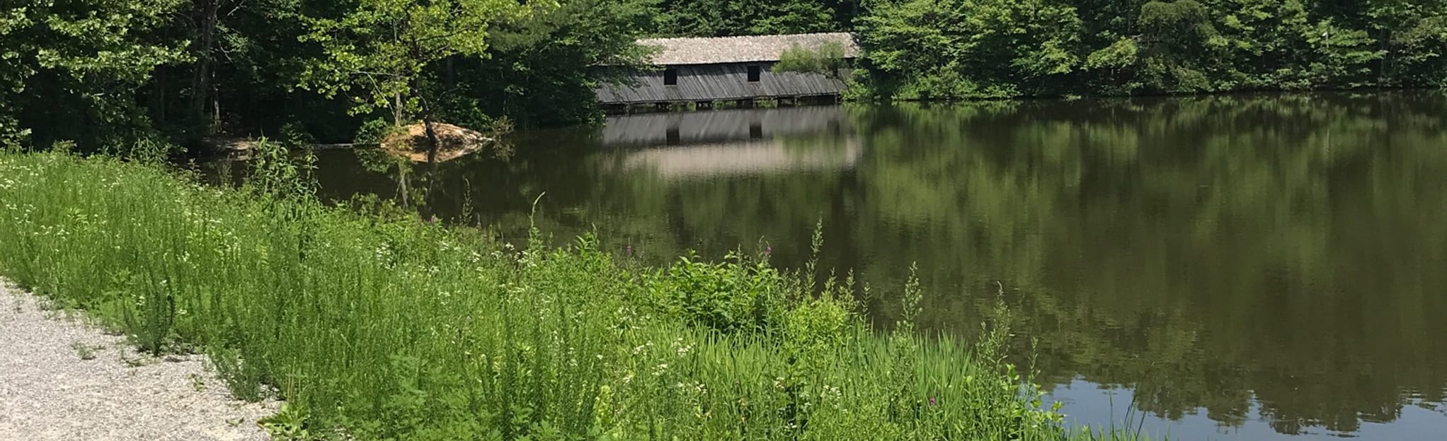 Madison Nature Trail: 272 Reviews, Map - Alabama | AllTrails