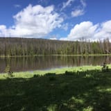 Grandaddy Basin Loop, Utah - 94 Reviews, Map | AllTrails