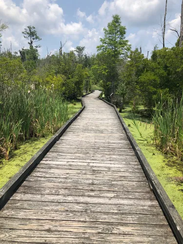 Best Hikes and Trails in Goose Creek State Park | AllTrails