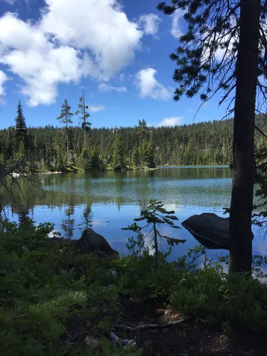 Best 10 Hiking Trails in Sky Lakes Wilderness | AllTrails