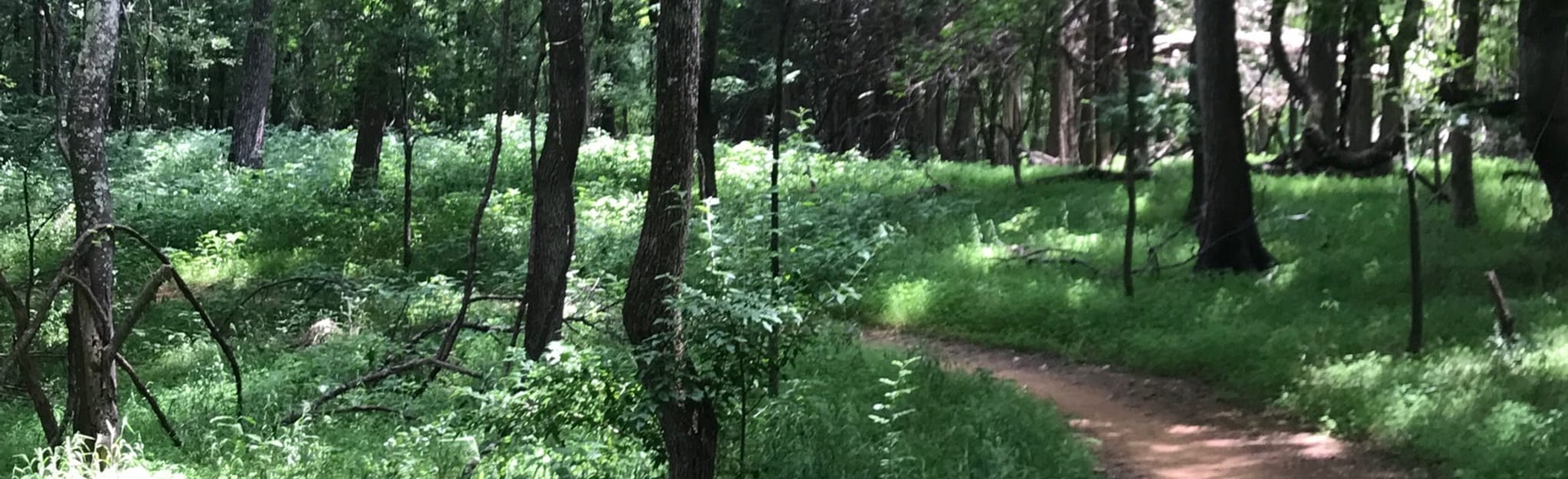 Springhouse Trail and Buckeye Trail Loop | Map, Guide - North Carolina ...