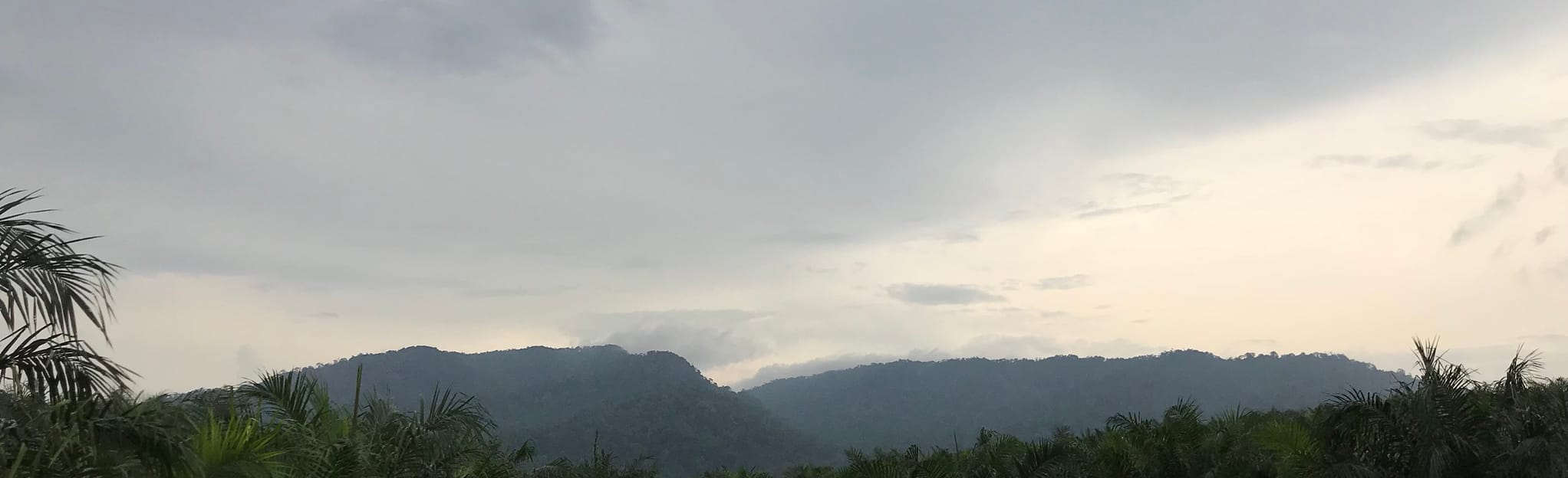 Bukit Kijang via Pulai Jaya, Johor, Malaysia - Map, Guide | AllTrails