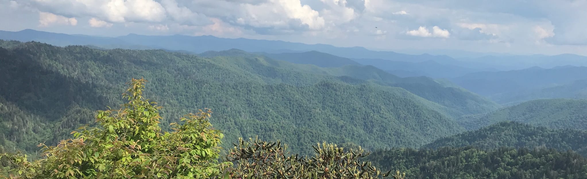 Appalachian Trail: Davenport Gap to Fontana Dam: 85 Reviews, Map ...