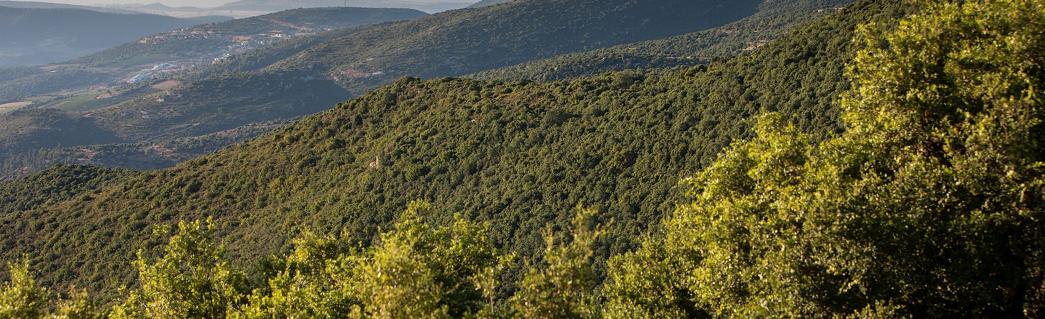 Mount Meron Peak, Northern District HaZafon, Israel - 46 Reviews, Map ...