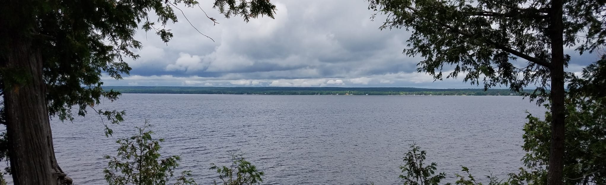 Onaway State Park Loop, Michigan - 42 Reviews, Map | AllTrails