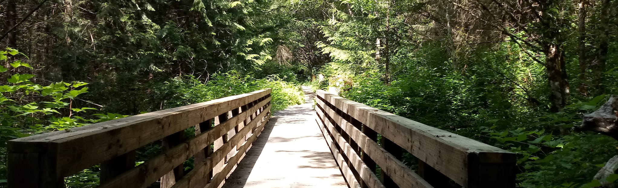 Teneriffe Falls Loop via the Mount Teneriffe Trail, Washington - 776 ...