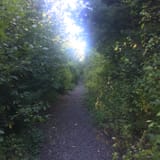 Bruce Freeman Rail Trail: Sudbury, Massachusetts - 30 Reviews, Map ...