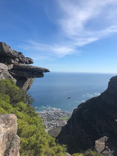 Table Mountain National Park Map | Cabinets Matttroy