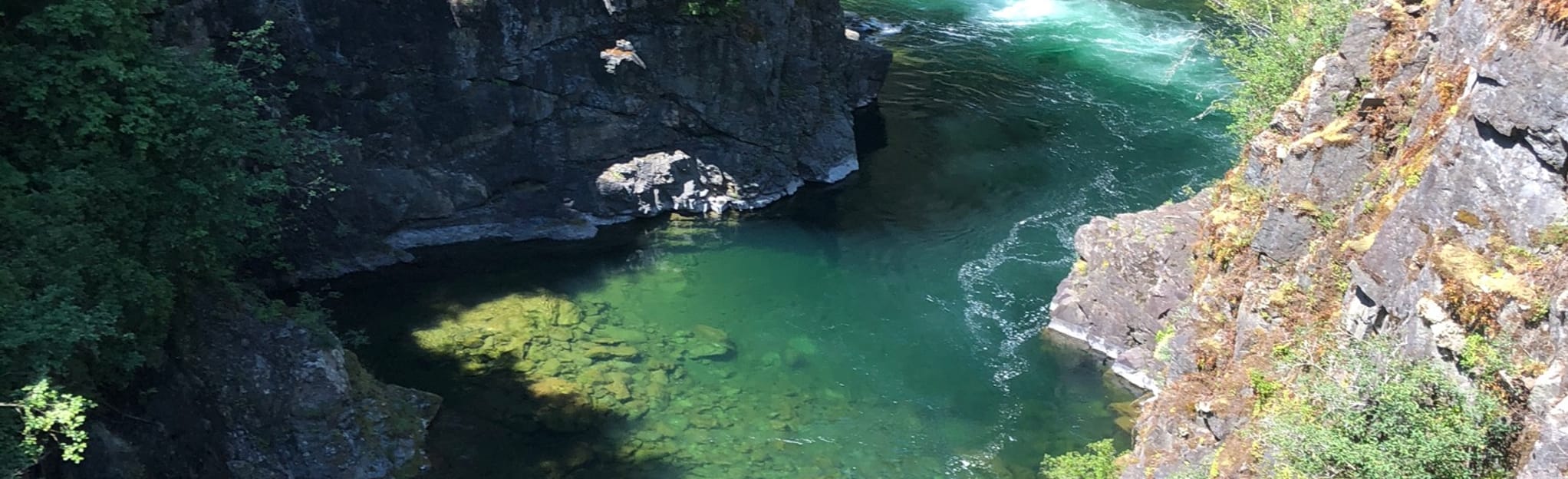 Campbell River Canyon View Trail: 592 Reviews, Map - British Columbia ...