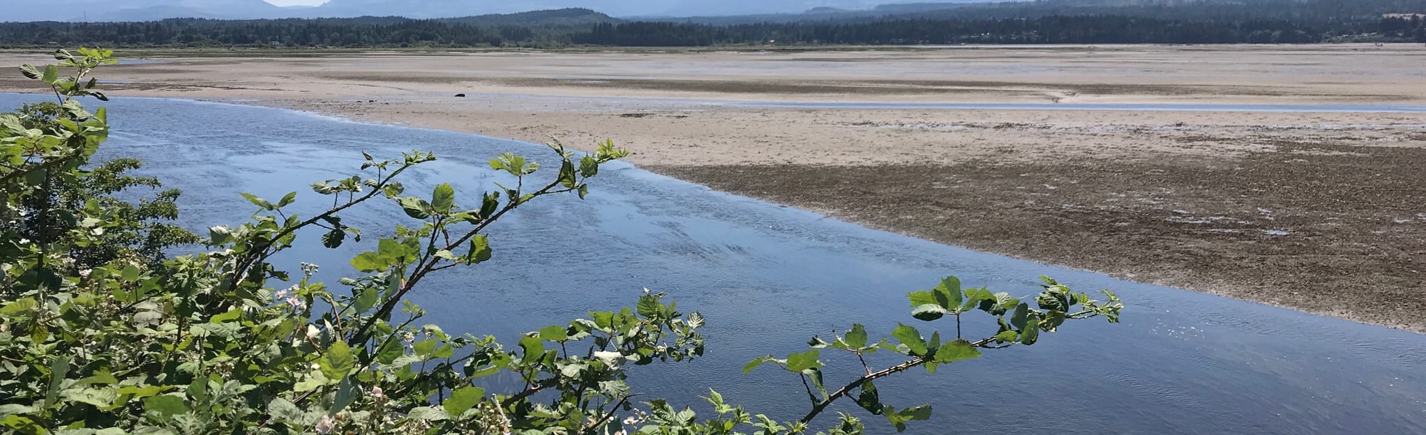 Jack Point, British Columbia, Canada - 665 Reviews, Map | AllTrails