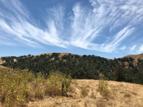 10 Best Hikes and Trails in Sunol Wilderness Regional Preserve | AllTrails