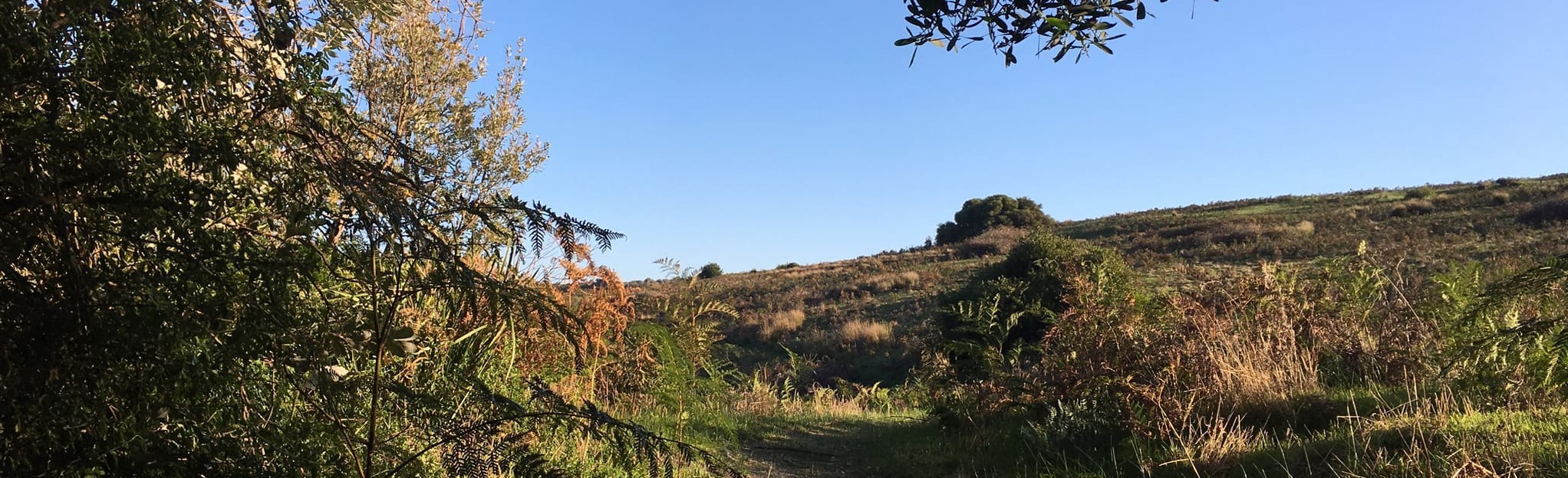 Cape Schanck to Baldrys Crossing via Two Bays Walking Track: 659 foto's ...
