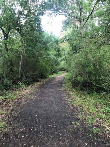 2023 Best Walking Trails in Lake Jackson | AllTrails