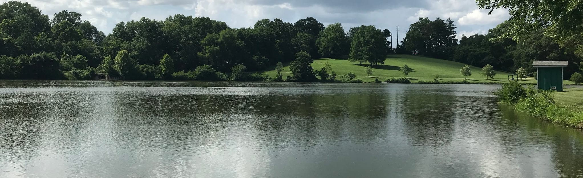 Bee Tree Lake Loop - Missouri | AllTrails