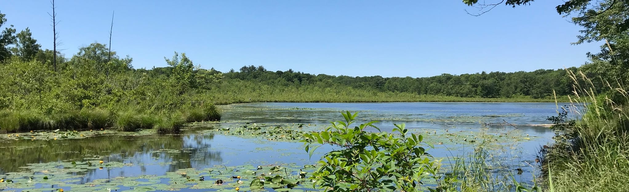 Sharon Audubon Center Loop, Connecticut - 48 Reviews, Map | AllTrails