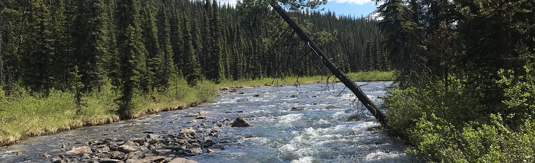 Rockingham Creek Campground via Fitzwilliam Trail: 10 Reviews, Map ...