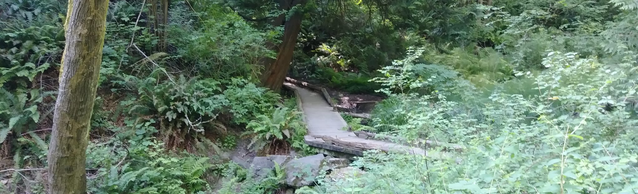 Frink Park Loop, Washington - 186 Reviews, Map | AllTrails