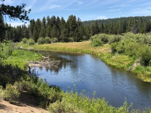 Best Hikes and Trails in Collier Memorial State Park | AllTrails