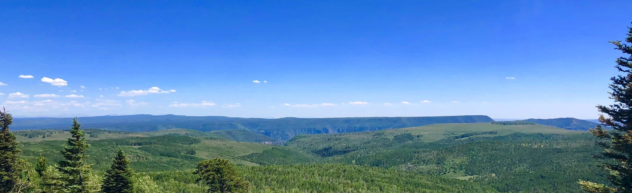 Grand Mesa Ridge Trail, Colorado - 18 Reviews, Map | AllTrails