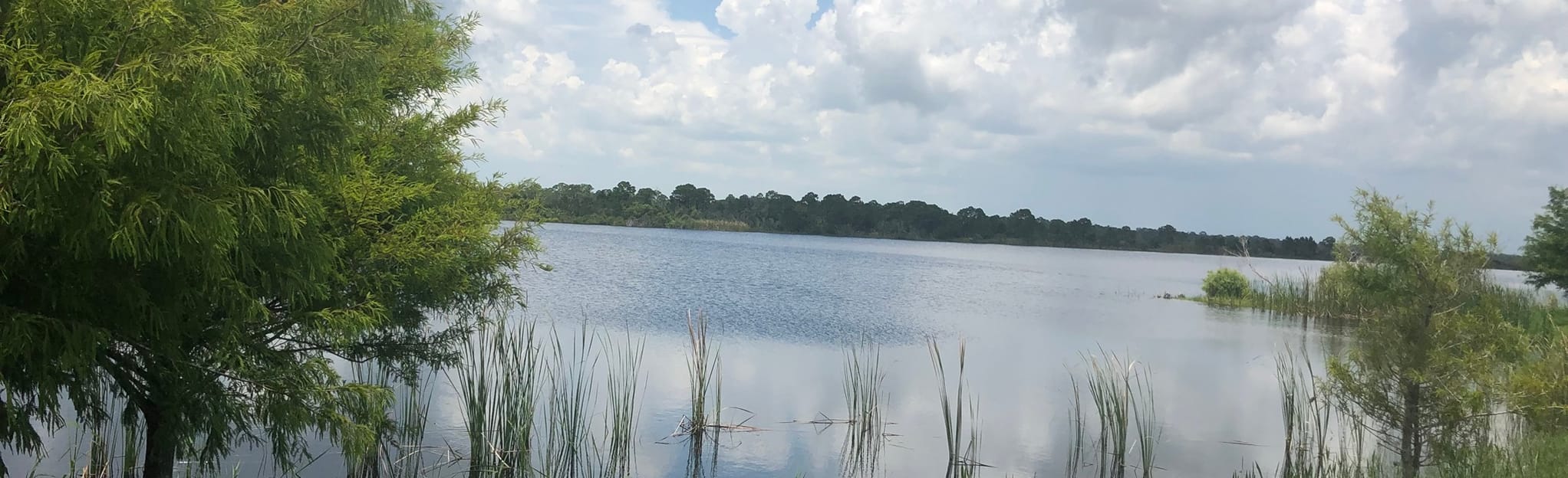 Indrio Savannahs Preserve, Florida - 204 Reviews, Map | AllTrails