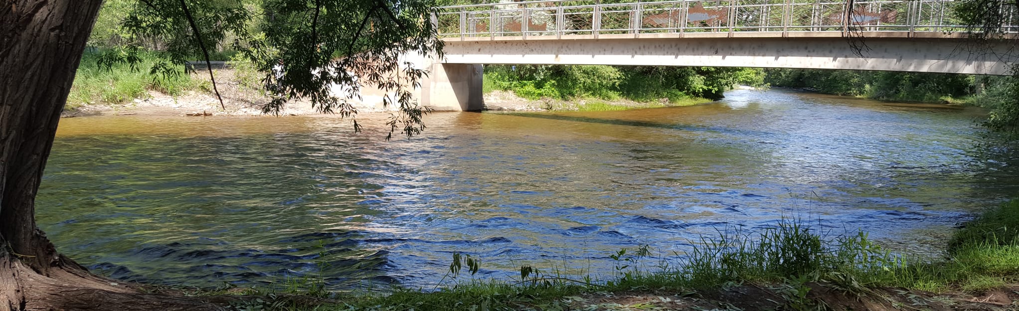 McMurry Natural Area: 130 foto's - Colorado | AllTrails