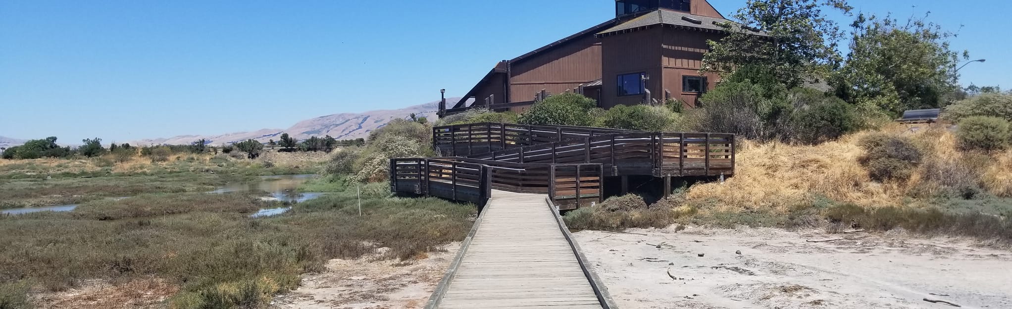 New Chicago Marsh Trail, California - 174 Reviews, Map | AllTrails