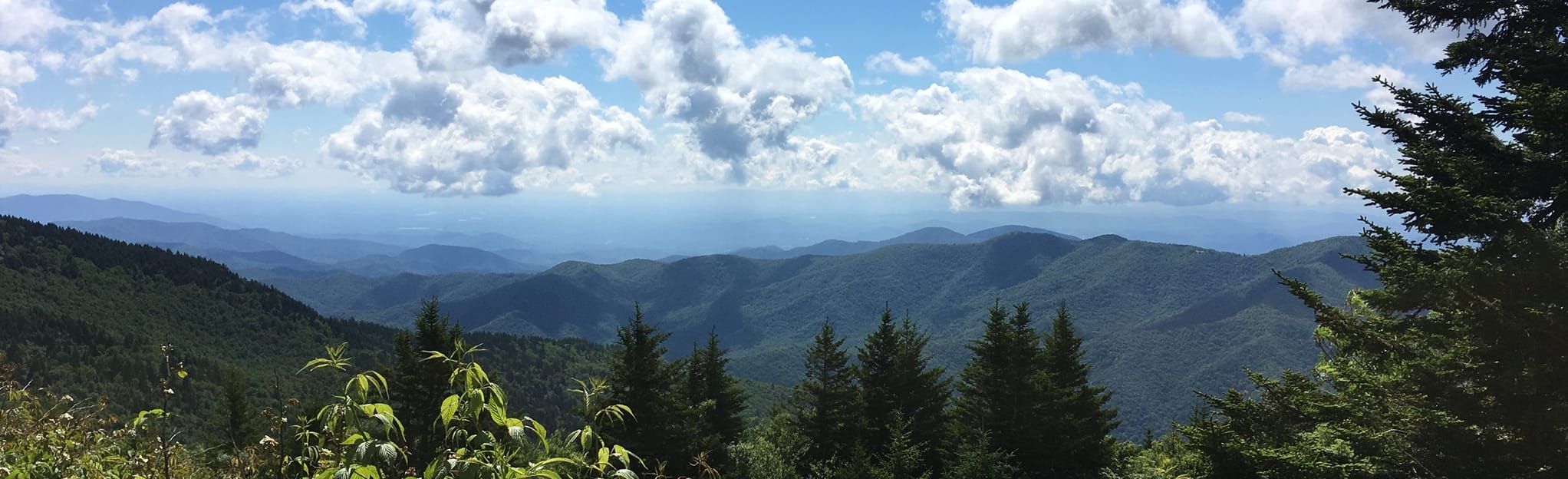 AllTrails | Cherry Mountain via Commissary Trail to Buncombe Range ...