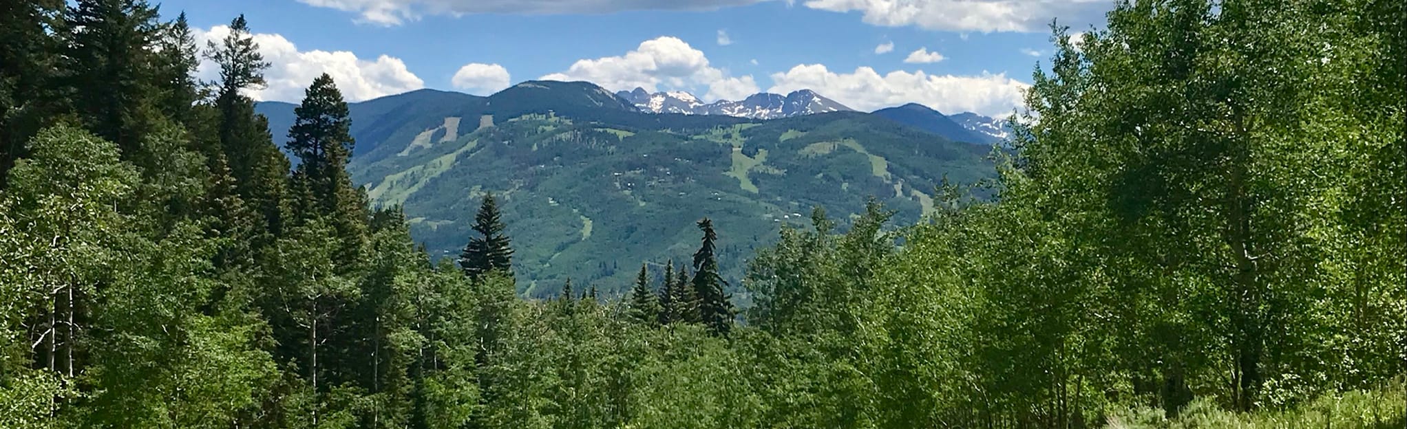 Buck Creek Trail, Colorado - 547 Reviews, Map | AllTrails