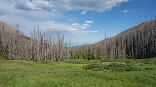 10 Best Camping Trails in Rio Grande National Forest, Divide Ranger ...