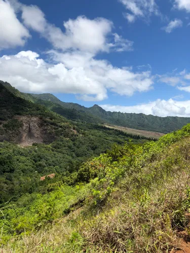 2023 Best Trails, Walks, and Paths in Schofield Barracks | AllTrails