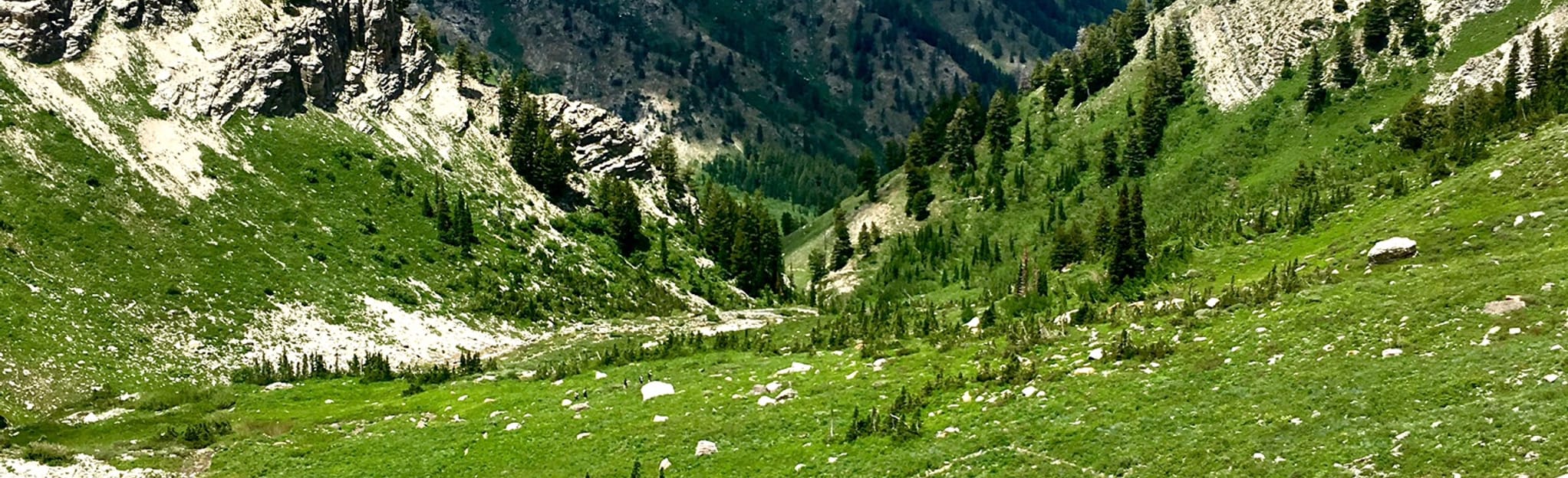 Tony Grove Lake to High Creek Trailhead: 13 Reviews, Map - Utah | AllTrails