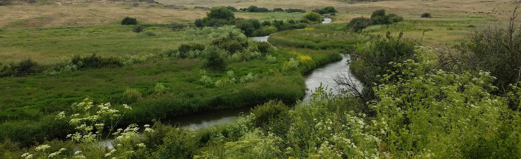 Towell Falls from Escure Ranch: 165 Reviews, Map - Washington | AllTrails