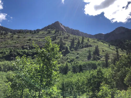 10 Best Off Road Driving Trails in Uinta-Wasatch-Cache National Forest | AllTrails