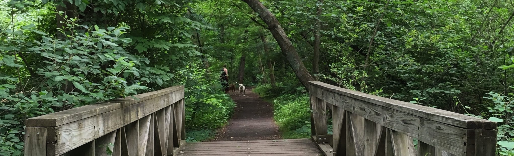 Cold Spring Park, Massachusetts - 368 Reviews, Map | AllTrails