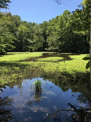 Best Hikes and Trails in Coldwater River Nature Conservancy | AllTrails