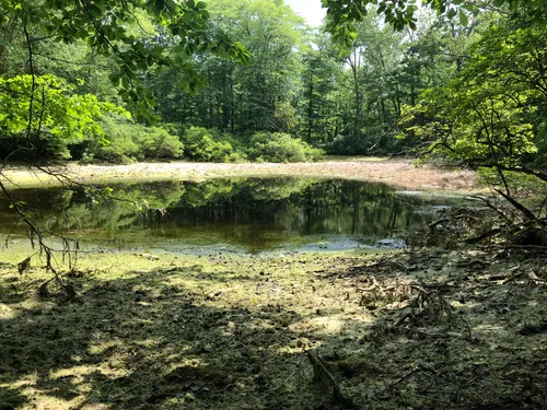 10 Best Hikes and Trails in Cockaponset State Forest | AllTrails