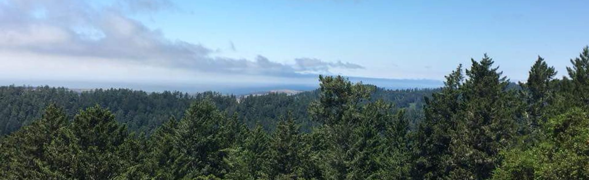 Candelabra Trail [CLOSED]: 10 Reviews, Map - California | AllTrails