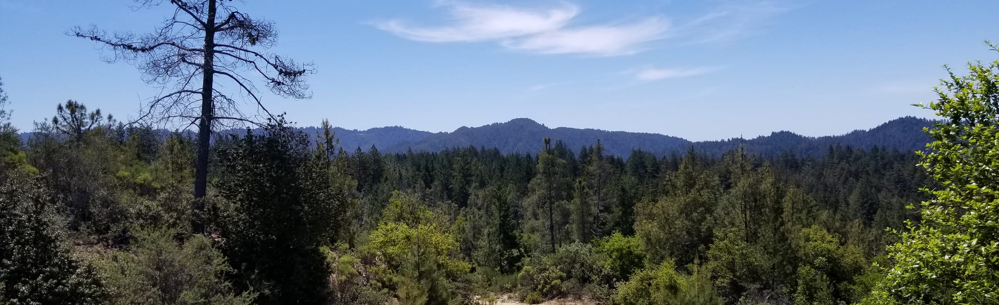 Dool Trail, Meteor Trail and Sequoia Trail, California - 237 Reviews ...