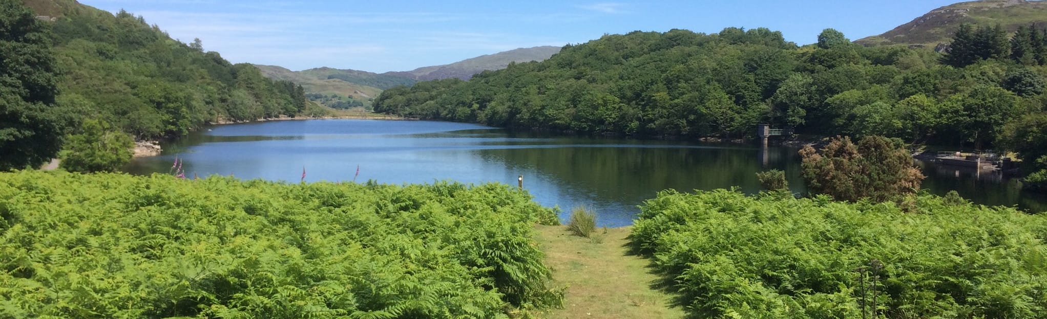 Llwybr Cynwch (Precipice Walk), Gwynedd, Wales - 369 Reviews, Map ...