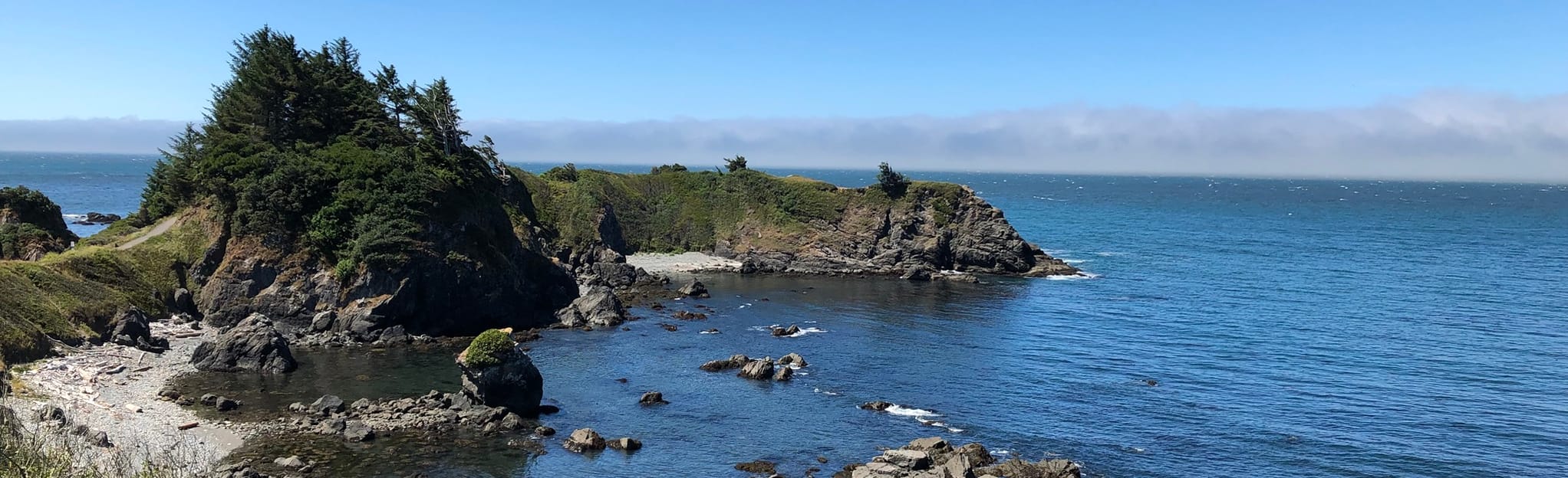 Chetco Point Trail: 161 Reviews, Map - Oregon | AllTrails