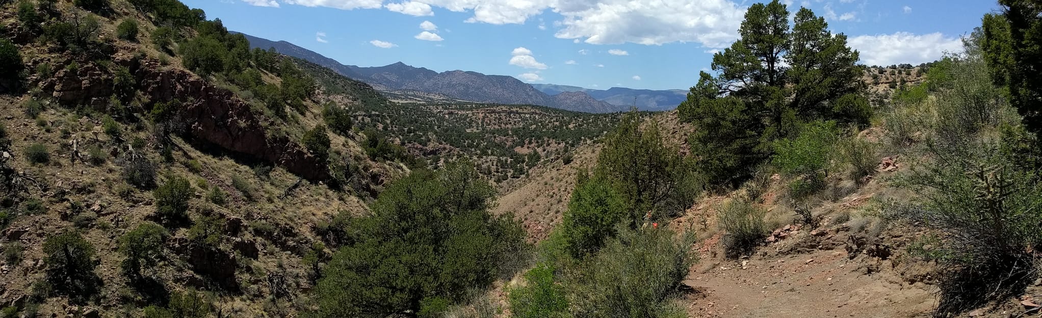 South Crestone Lake Trail: 105 Reviews, Map - Colorado | AllTrails
