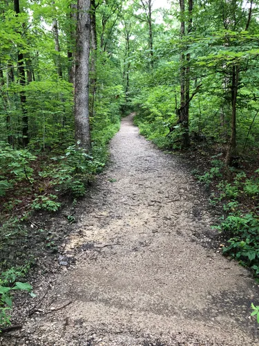 10 Best Trails and Hikes in Berea | AllTrails