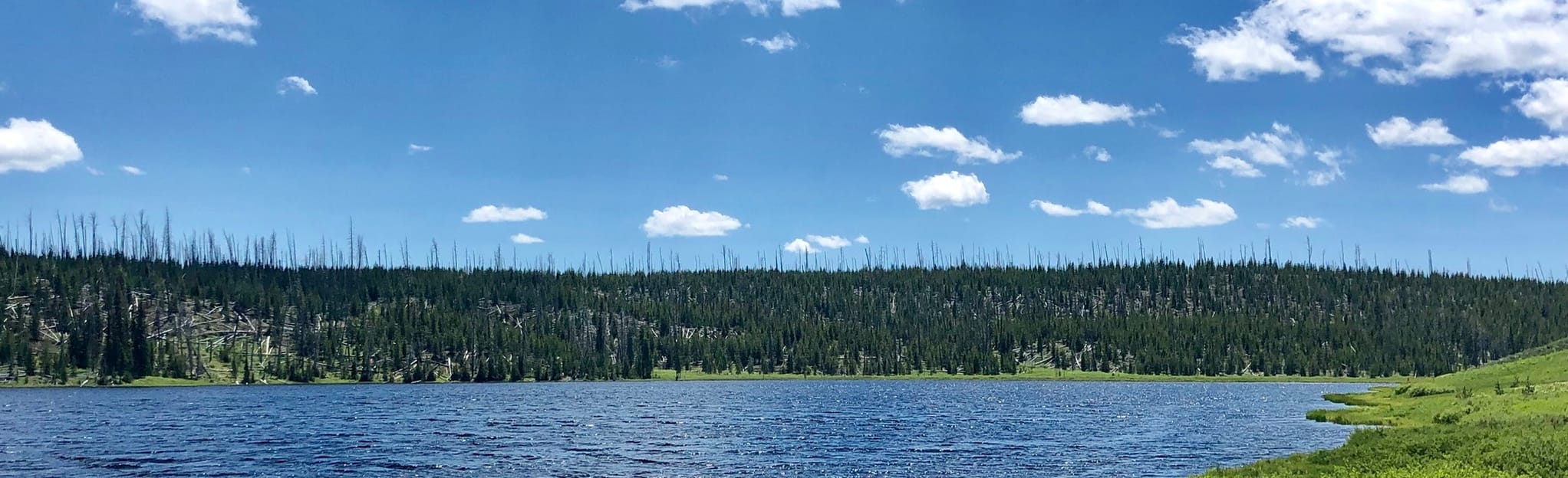 Cascade Lake Trail, Montana - 232 Reviews, Map | AllTrails