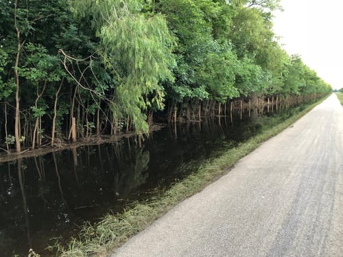 2023 Best trails in George Bush Park | AllTrails