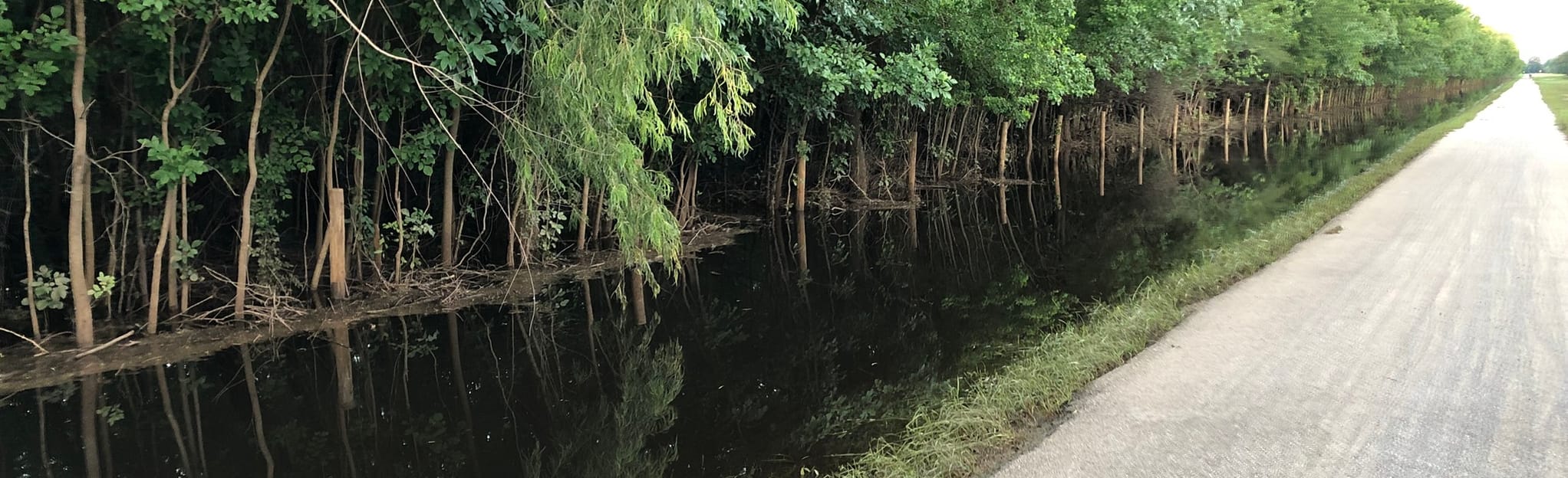 George Bush Park - Barker to Bayou Bridge, Texas - 123 Reviews, Map ...