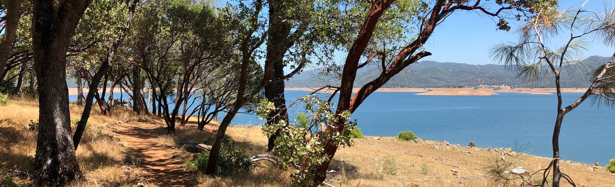 Kelly Ridge Point, California - 240 Reviews, Map | AllTrails