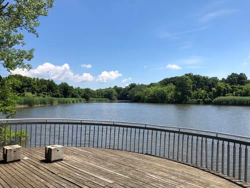 Best Hikes and Trails in Hackensack River County Park | AllTrails